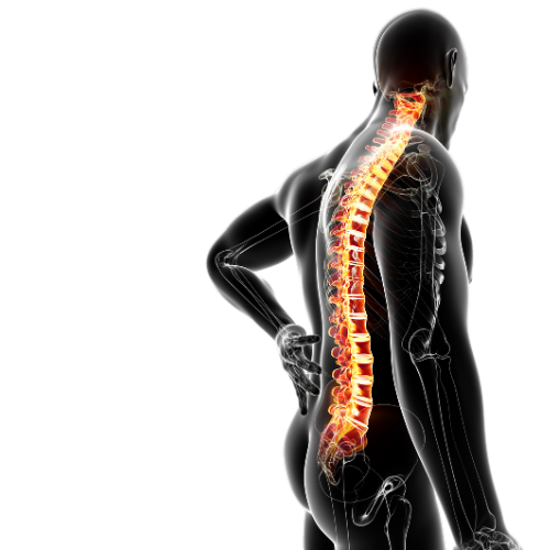 Genoptræning ryg | Fysiodema ApS